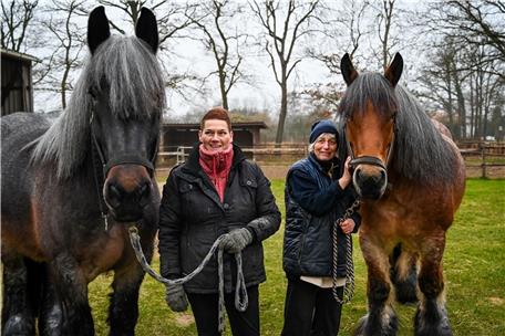 Erst Touri-Attraktion, dann Schlachthof: Wie Reither Pferde vor dem Tod ...