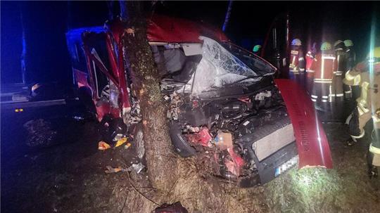Kleinbus kracht gegen Baum - Acht Menschen verletzt